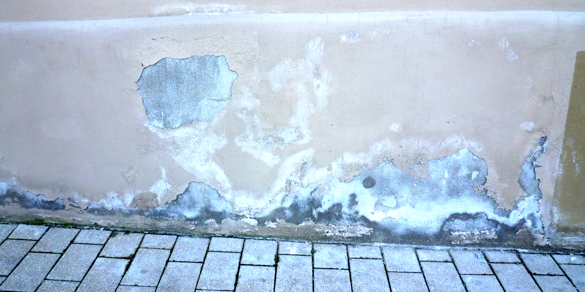 Salz im Sockel sanieren mit Spezialputz von epasit | Epasit